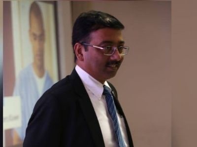 Home - Umbrella Palm